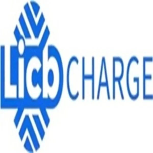 China LiCB AC DC EV Charger